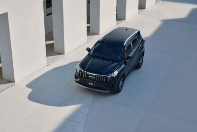 China Zhipao Ace 2.0L Petrol Automatic Compact SUV 5 Seats 2021 Model 161 HP for sale