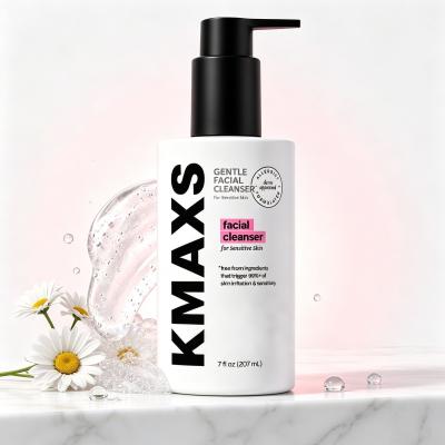 China Dry Skin Facial Hyaluronic Acid Ceramide Cleanser PH Balanced Organic Beauty Products Private Label for sale