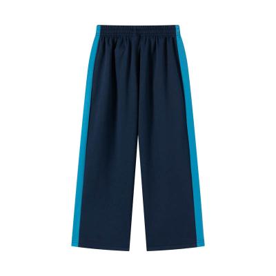 China Unisex Wide-Leg Track Pants with Aqua Side Stripes and Elastic Waistband for Comfortable Athleisure Wear for sale