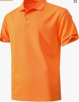China Men's Quick-Dry Breathable Mesh Polo Shirt with Moisture-Wicking Technology for Golf & Work for sale