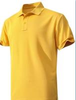 China Men's Quick-Dry Breathable Mesh Polo Shirt with Moisture-Wicking Technology for Golf & Work for sale