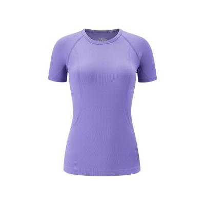 China Women’s Seamless Short Sleeve Sports T-Shirt with Raglan Sleeves for OEM/ODM Wholesale for sale