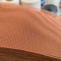China Flame Resistant Industrial Mesh Fabric Silicone Coated Dipped Square Grid for sale