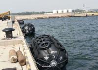 China SGS Rubber Pneumatic Marine Fenders Tyres Type Completely Airtight for sale