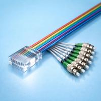 China Lidless Fiber Array 1CH to 32CH 250um Core Pitch for Silicon Photonics PLC AWG for sale