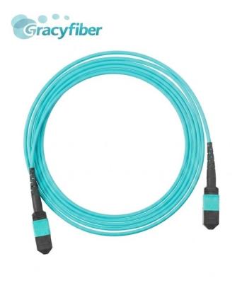 China OEM Tamper-Proof MPO Lock Connector High Density Fiber Optic Push-Pull Tab Low IL for Data Center Telecom Network for sale