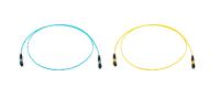 China Elite MPO MTP Trunk Cable 40G 100G 12F 24F 48F LSZH OFNP Low Insertion Loss Data Center for sale