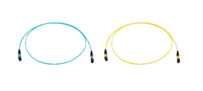 China Elite MPO MTP Trunk Cable 40G 100G 12F 24F 48F LSZH OFNP Low Insertion Loss Data Center for sale