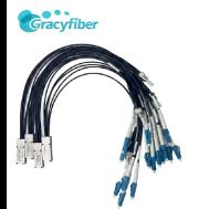 China Industrial Temperature 4CH CWDM Module 1271 1291 1311 1331nm Low Insertion Loss High Isolation for sale