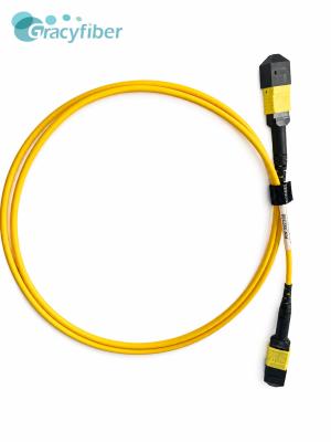 China Polarization Maintaining PM MPO Fiber Patch Cord Low Insertion Loss 0.25dB High Return Loss 55dB for sale