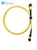 China PM MT/MPO Polarization-Maintaining Fiber Optic Connector 12-Core Multi-Core Assembly for sale