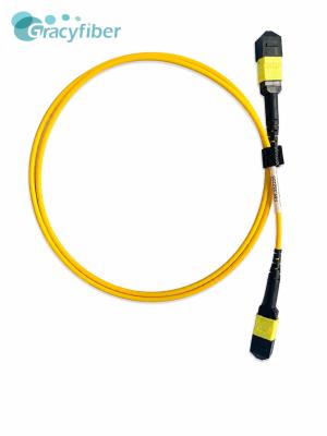 China PM MT/MPO Polarization-Maintaining Fiber Optic Connector 12-Core Multi-Core Assembly for sale