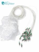 China High-Precision 2-Channel Single/Multimode Fiber Array | 127/250μm Spacing, 0 Degree Flat Angle | Compact FA for Optical Transceivers for sale