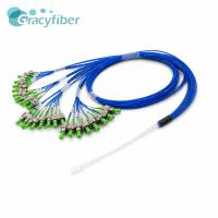 China 32 Channel PM Fiber Array Polarization Maintaining 127um Pitch for Silicon Photonics Optical Coupling for sale