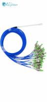 China 32 Channel PM Fiber Array Polarization Maintaining 127um Pitch for Silicon Photonics Optical Coupling for sale