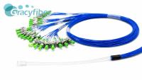 China 32 Channel PM Fiber Array Polarization Maintaining 127um Pitch for Silicon Photonics Optical Coupling for sale