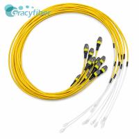 China Custom 8 Channel SMFA 250P A0° Lidless Fiber Array Corning SMF-28e 2mm Yellow Tube MTP APC Female for sale
