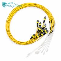 China 8CH Lidless Single Mode Fiber Array 250um Pitch A0 Degree Corning SMF-28e to 12F MTP APC Female Connector for sale