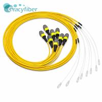 China 8CH Lidless Single Mode Fiber Array 250um Pitch A0 Degree Corning SMF-28e to 12F MTP APC Female Connector for sale