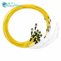 China 8CH SM Fiber Array 250um Pitch Lidless A0 Degree Corning SMF-28e 12F MTP APC Female Low Loss 1m Cable for sale
