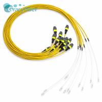 China 8CH 250 μm Pitch Lidless SM Fiber Array to 12-Fiber MTP/APC Female Connector for sale