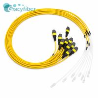 China 8CH 250 μm Pitch Lidless SM Fiber Array to 12-Fiber MTP/APC Female Connector for sale