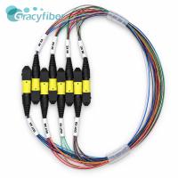 China 32F 4×MPO-12/APC Elite Male to 4×MPO-12/APC Elite Male Type B Single-Mode Fiber Assembly for sale