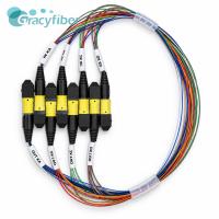 China 4× MPO-12/APC Male to 4× MPO-12/APC Male 32F G657A1 Type B Cable Assembly for sale