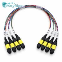 China 4×MPO-12/APC Elite Male to 4×MPO-12/APC Elite Male 32F G657A1 Fiber Assembly for sale