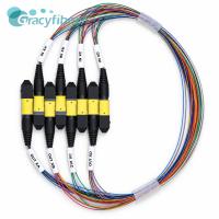 China 4×MPO-12/APC Elite Male to 4×MPO-12/APC Elite Male 32F G657A1 Fiber Assembly for sale