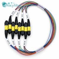 China 4×MPO-12/APC Elite Male to 4×MPO-12/APC Elite Male 32F G657A1 Fiber Assembly for sale