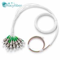 China 16CH Single-Mode Fiber Array, 127 μm Pitch, A8° Polish, SMF-28e with FC/APC Connectors for sale