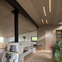 China European standard 3D Interior Decoration slat Acoustic wooden Wall Panel for sale