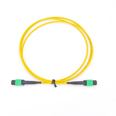 China MTP MPO Patch Cord SM APC Low Loss 12 Fiber US Conec Trunk Cable for sale