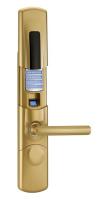 China Residential Fingerprint Door Locks Access Control With Mechanical Key for sale