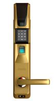 China Biometric Fingerprint Keypad Access Control Door Lock - 100 User Capacity, 6V DC, Zinc Alloy Construction for sale