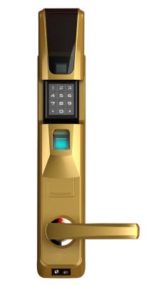 China Biometric Fingerprint Keypad Access Control Door Lock - 100 User Capacity, 6V DC, Zinc Alloy Construction for sale