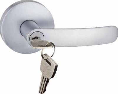 China Zinc Alloy Lever Handle Trim Panic Exit Bar 72mm Diameter with 2-Year Warranty for Double Door Systems for sale