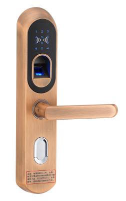 China Outdoor Keyless Biometric Fingerprint Door Lock with Deadbolt - 100 User Capacity, 6V DC Battery, 3kg Weight for sale