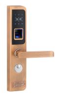 China Bright Chrome RFID Fingerprint Door Lock 6V DC 100 User Capacity CE FCC for sale
