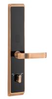 China Digital Electronic Fingerprint Door Lock with 100 User Capacity & 5000 Operation Battery Life - 479×81×24mm Zinc Alloy Security System for sale