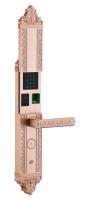 China Zinc Alloy Fingerprint Access Control Door Lock 500 DPI 100 Password 6V DC for sale
