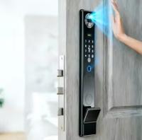 China Waterproof Smart Lock Real Time Video 3d Face Recognition Smart Fingerprint Lock for sale