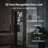China Waterproof Smart Lock Real Time Video 3d Face Recognition Smart Fingerprint Lock for sale