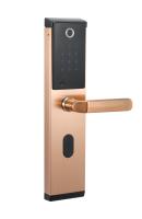 China 304 Stainless Steel 500 DPI Fingerprint Door Lock 6V Battery Stand Alone 200 Users for sale