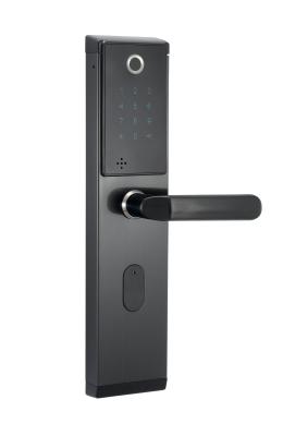 China 304 Stainless Steel Fingerprint Door Lock 500DPI 200 Users Black for sale