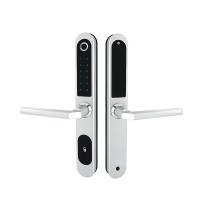 China Intelligent WiFi Smart Glass Door Lock Fingerprint Card Biometric 50 Fingerprints 200 Cards for sale