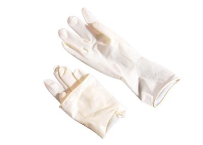 China Natural Latex OEM Surgical Glove 30cm For Customization for sale