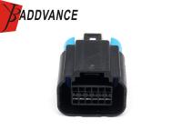China 13678638 12 Pin 2 Row Female Automotive Waterproof Electrical Connector 125°C for sale