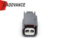 China WPT-1243 Waterproof 2 Pin Female Automotive Connector Housing 150°C for Ford for sale